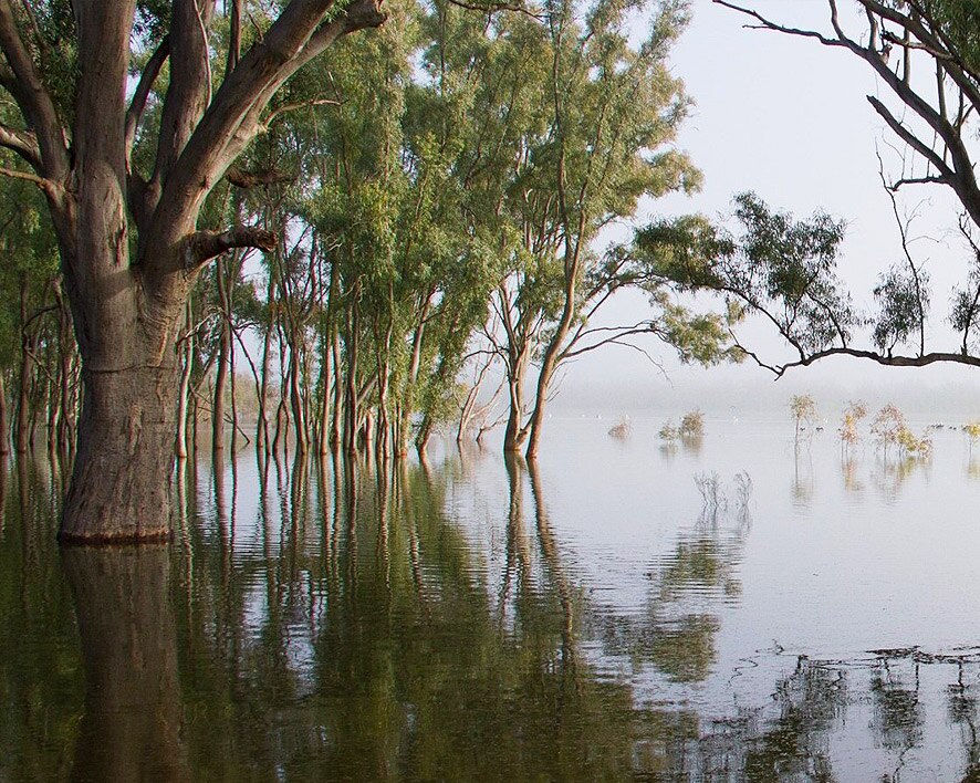 Ten-day Lower Murray Water hearing begins for artificial engineering ...