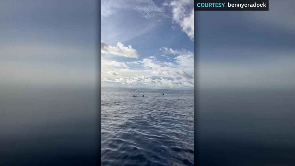 Missing Aussie surfers rescued near Aceh - ABC listen