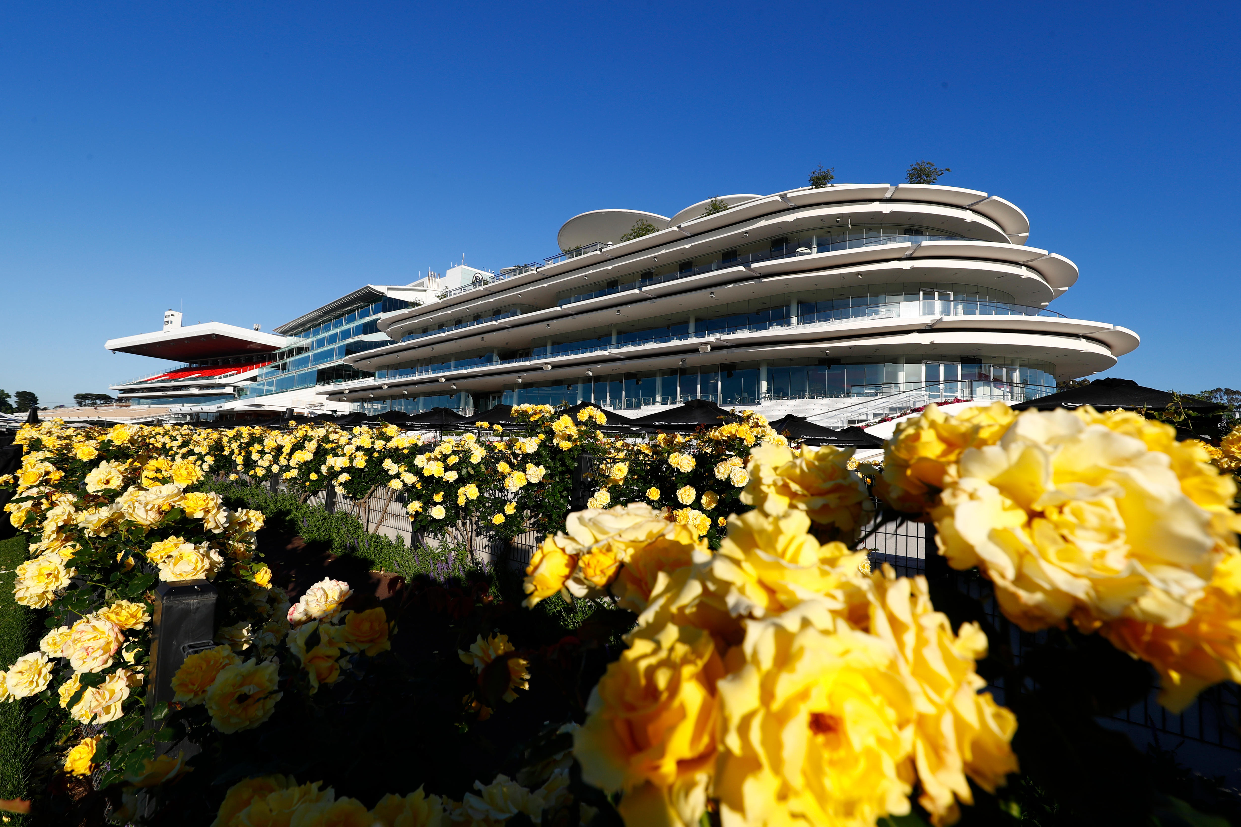 ABC traffic reporter Brad Arnoldt's phantom Melbourne Cup race call ...
