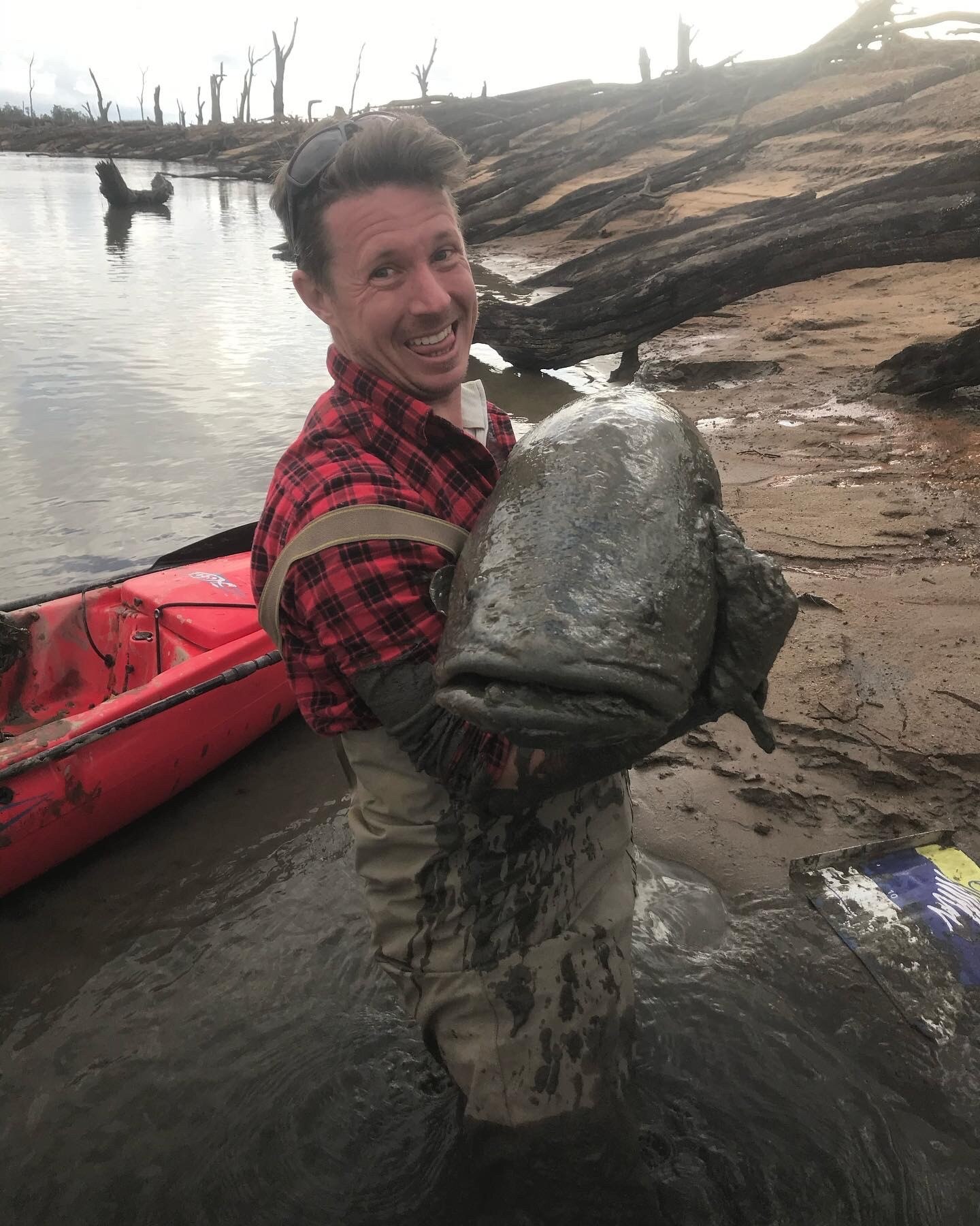 Revenge is a dish best served Cod for Scott Turnbull - ABC Radio