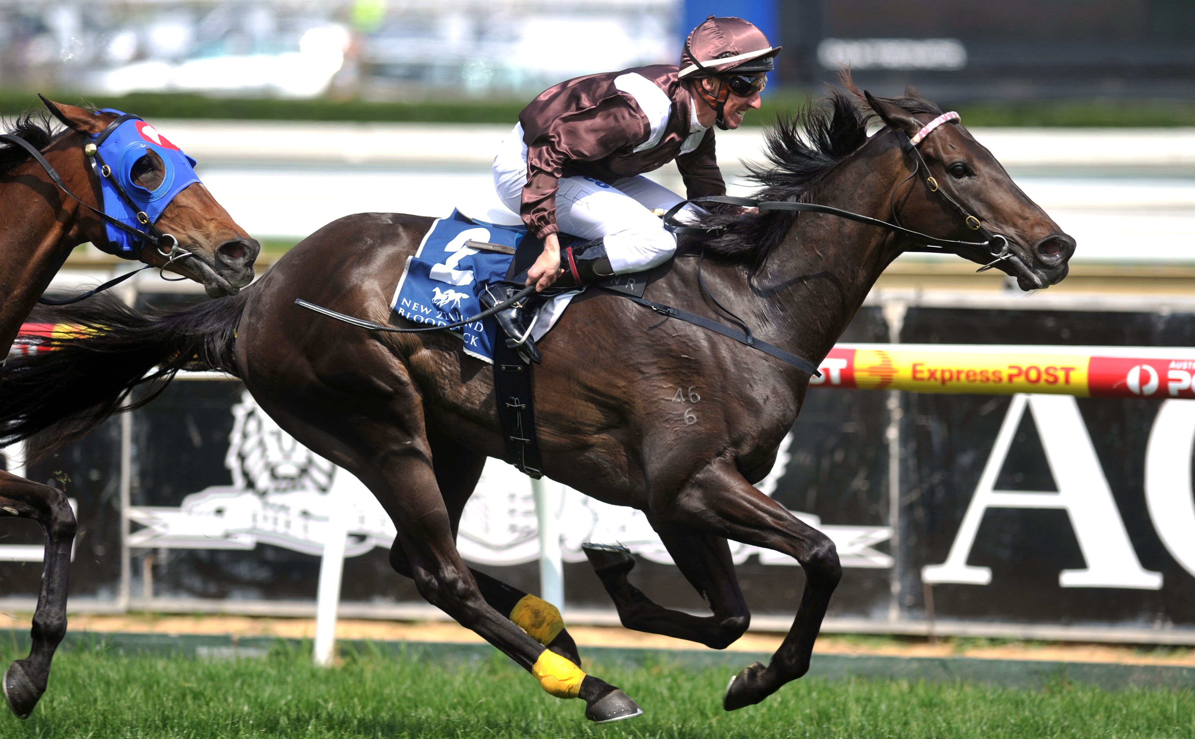 Descarado strikes form in Yalumba - ABC News