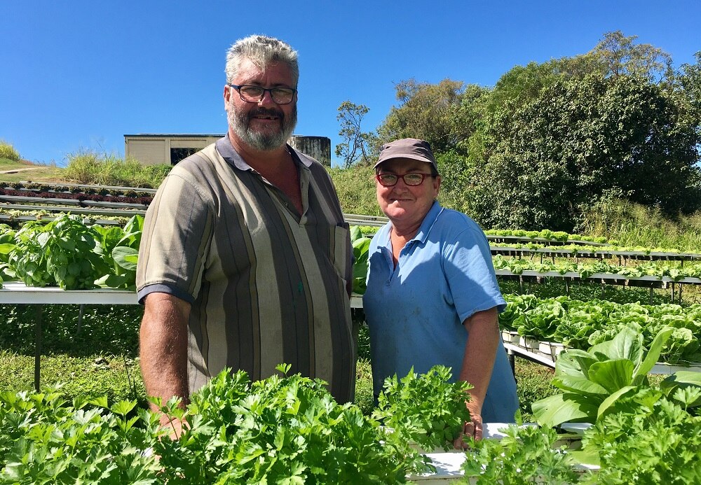 Cyclone Debbie farmers on long road to recovery in north Queensland ...