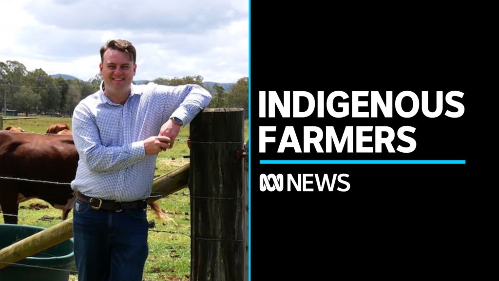 Fire at a tesla battery facility in Bouldercombe - ABC News