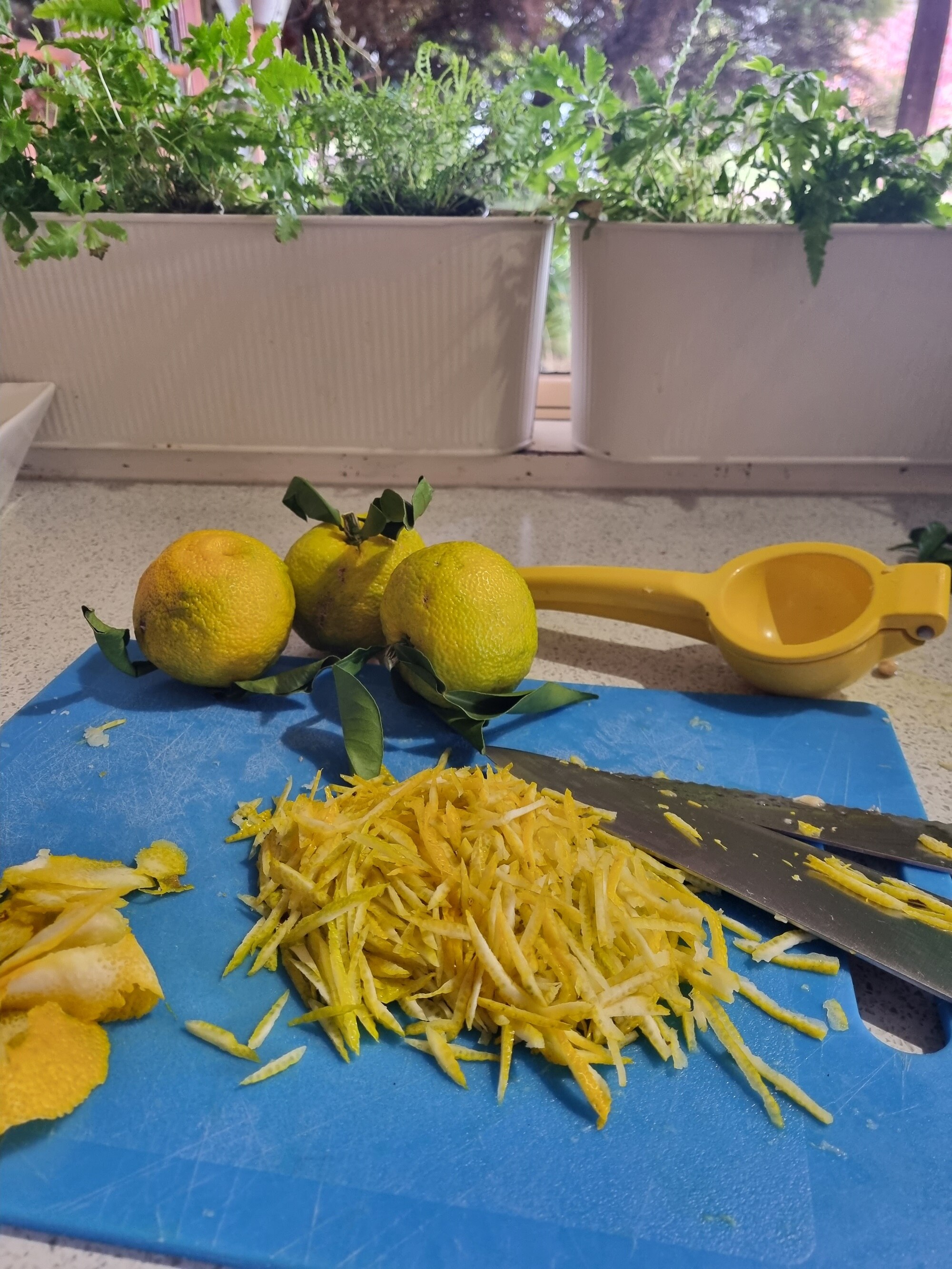 Yuzu juice-loving restaurateur saved from paying $100 per bottle by ...