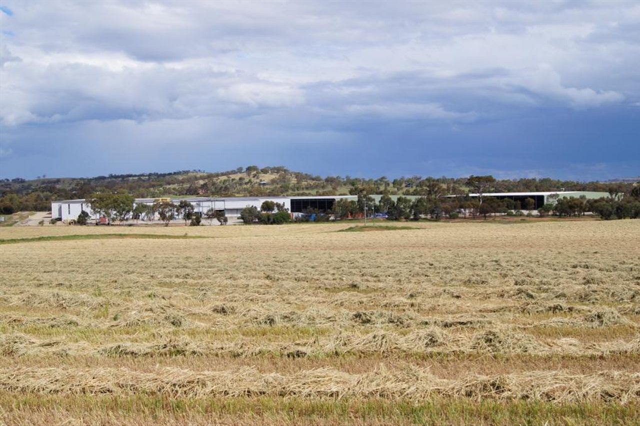 Worst hay season on record says exporter - ABC News