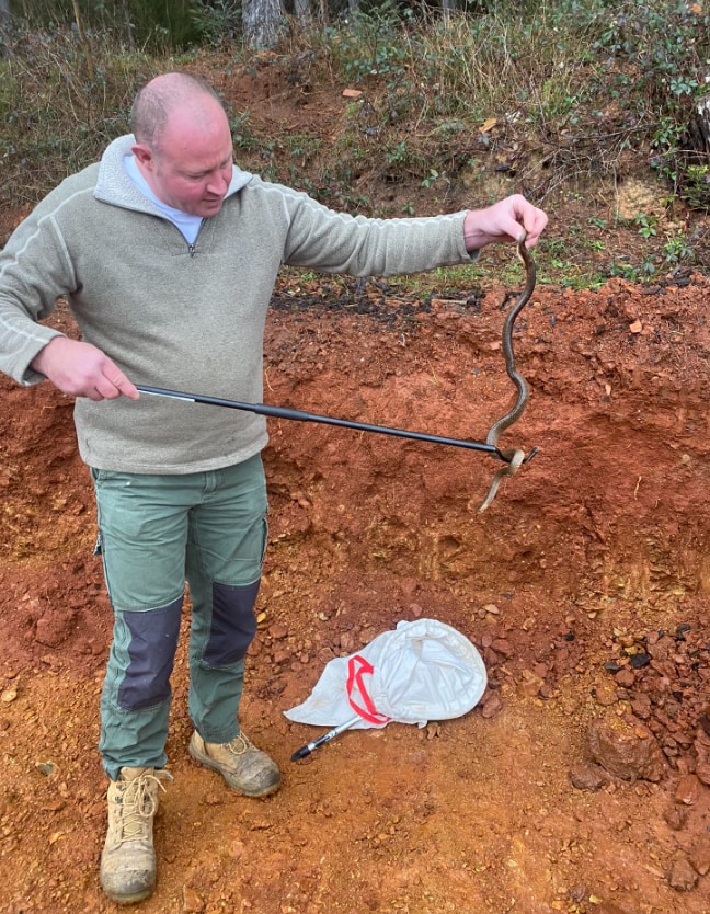Snake catchers hopeful Australians can learn to love snakes - ABC News