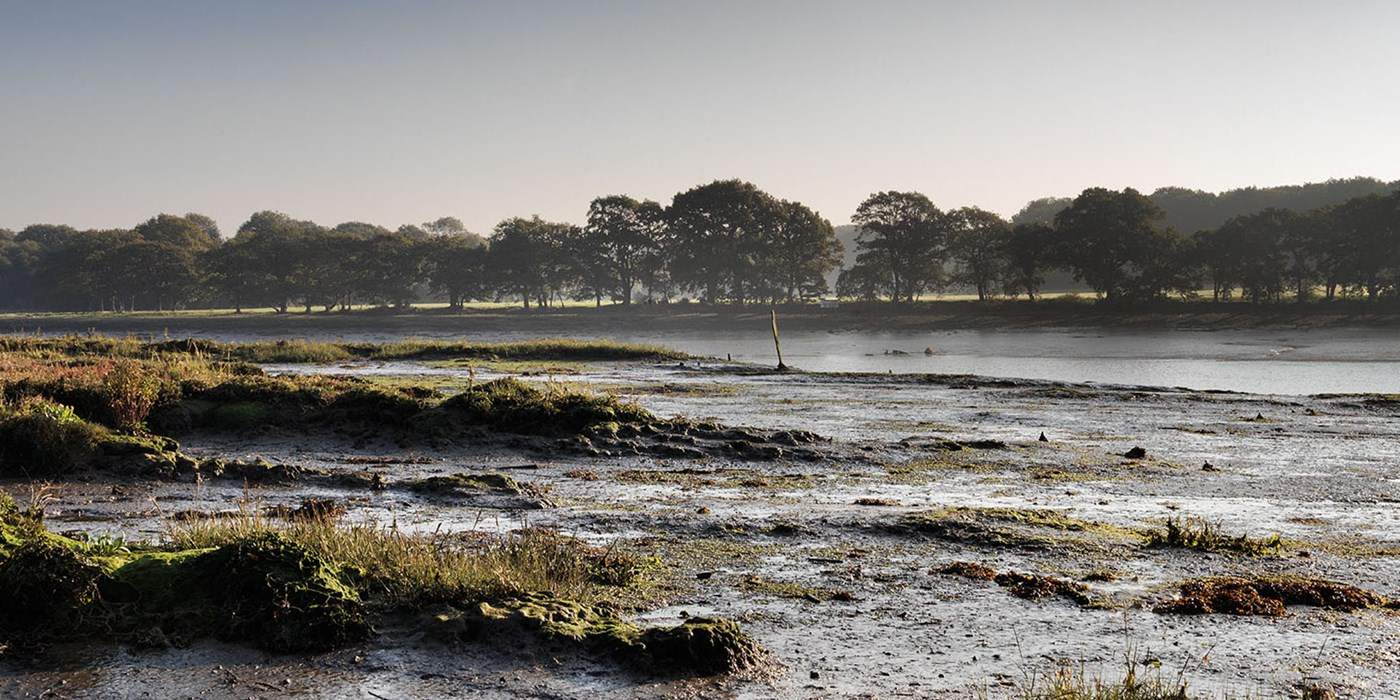Henry V 'great ship' Holigost believed to be found in River Hamble in ...