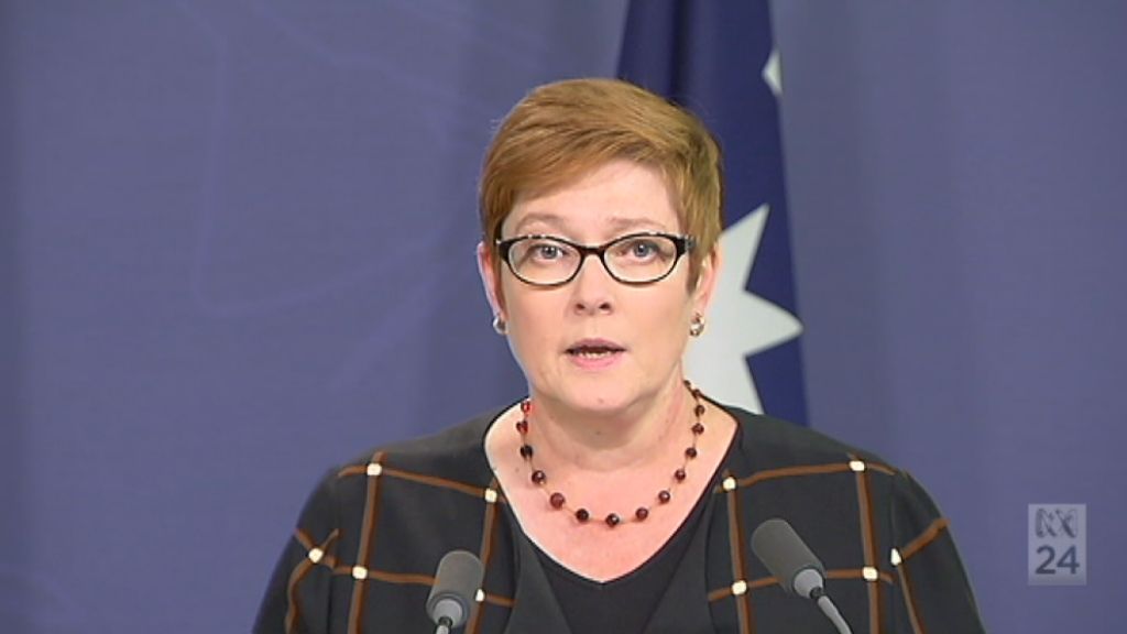 Defence Minister Marise Payne says Australia's Syrian bombing mission ...
