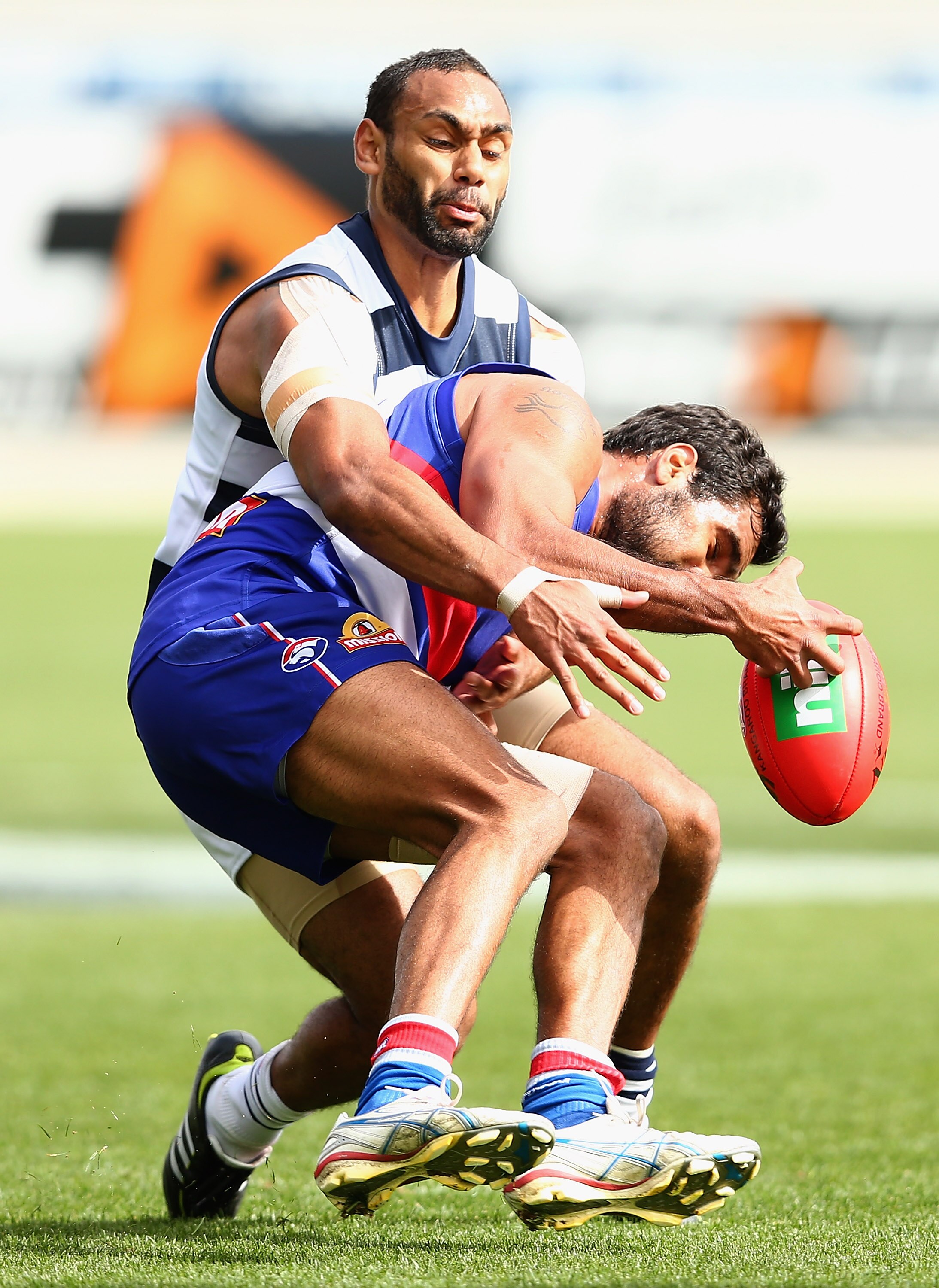 Varcoe injured as Cats down Dogs - ABC News