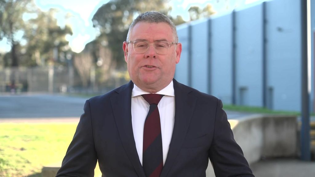 'Ridiculous': Workplace relations minister dismisses former CFMEU boss ...