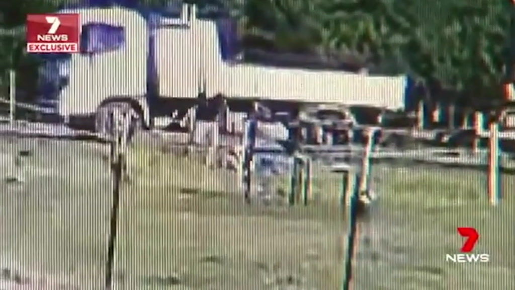 The terrifying assault was caught on camera - ABC News