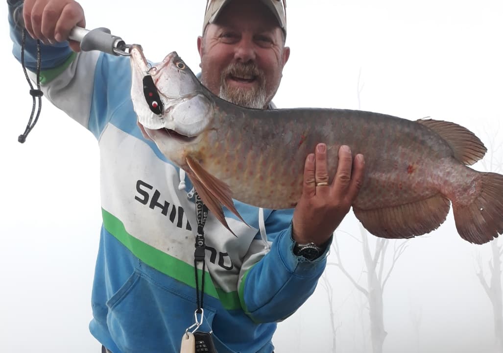 Big Toga Party on The Big Fish - ABC listen