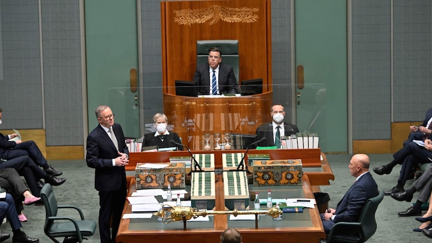 Australian House of Representatives New Speaker: Milton Dick - ABC Brisbane Australian House of Representatives New Speaker: Milton Dick - ABC Brisbane