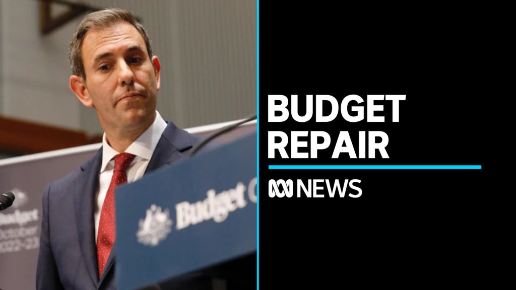 Grumpy koala spotted up a tree in Glen Roy Conservation Park - ABC News