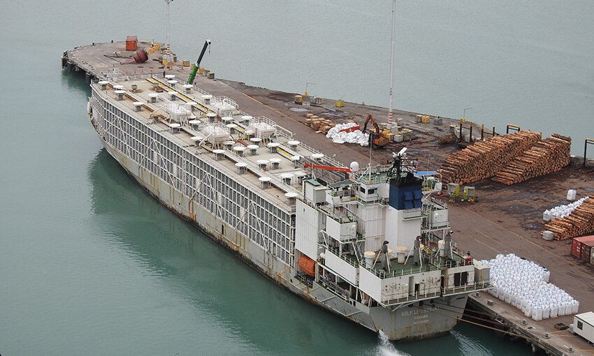 The final voyage of the Gulf Livestock 1: Why did a live export ship ...