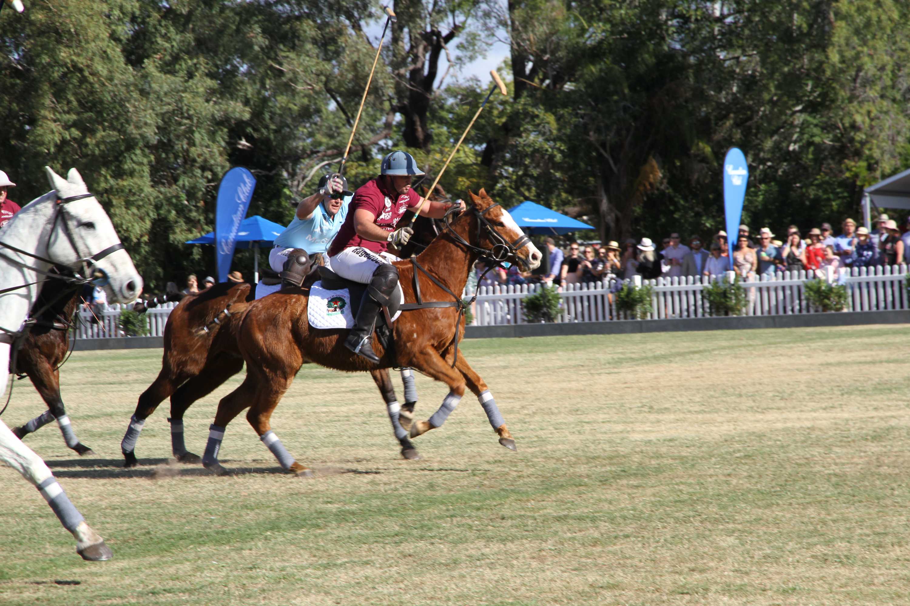 Polo pops up in central Queensland to test regional Australia's ...