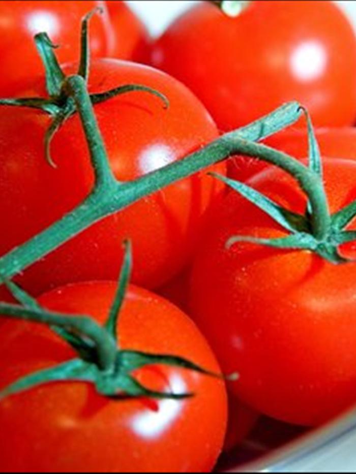 Four ingredient tomato sugo - ABC News
