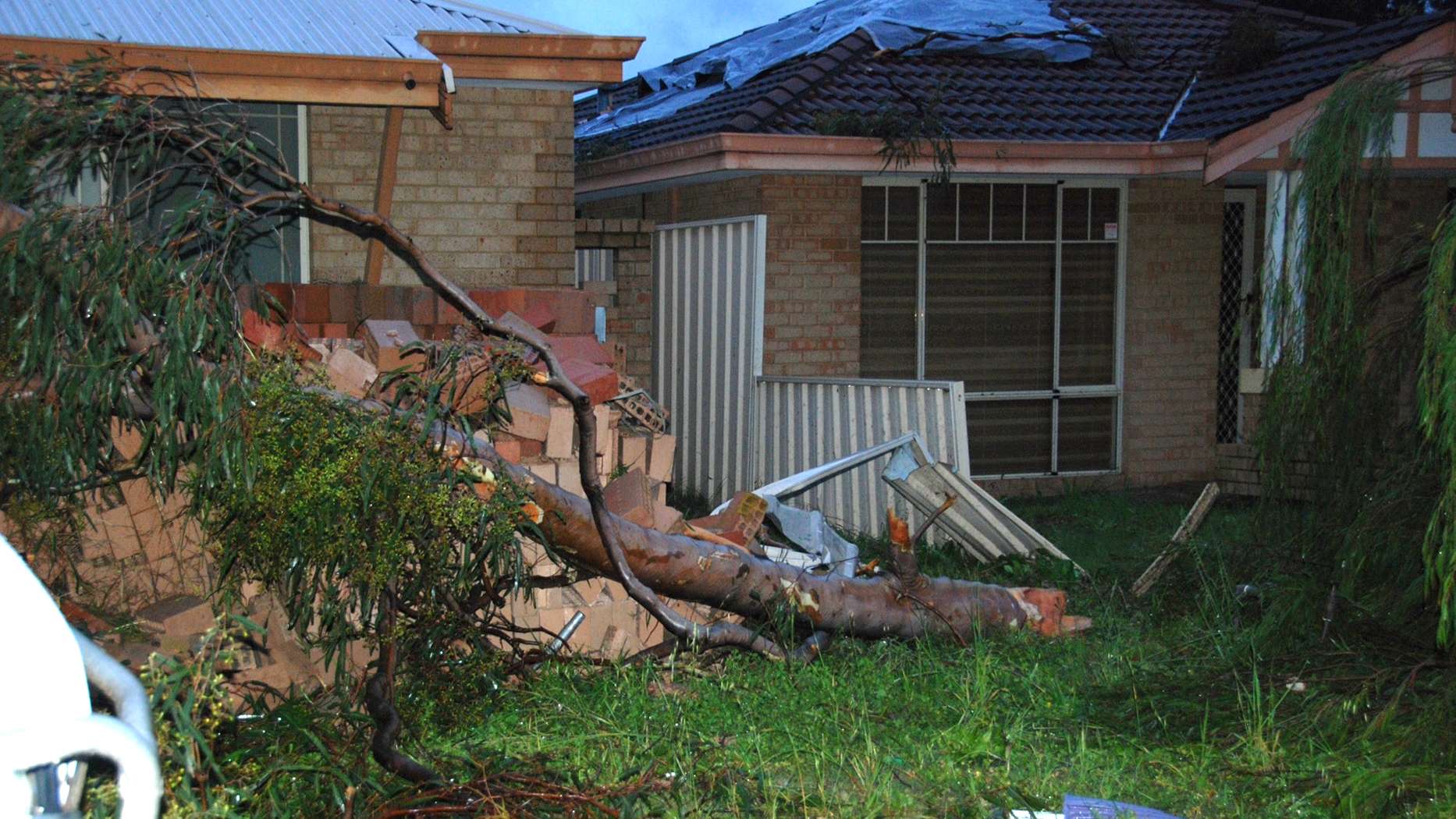 Strong winds bring down trees and powerlines in Perth and South West ...