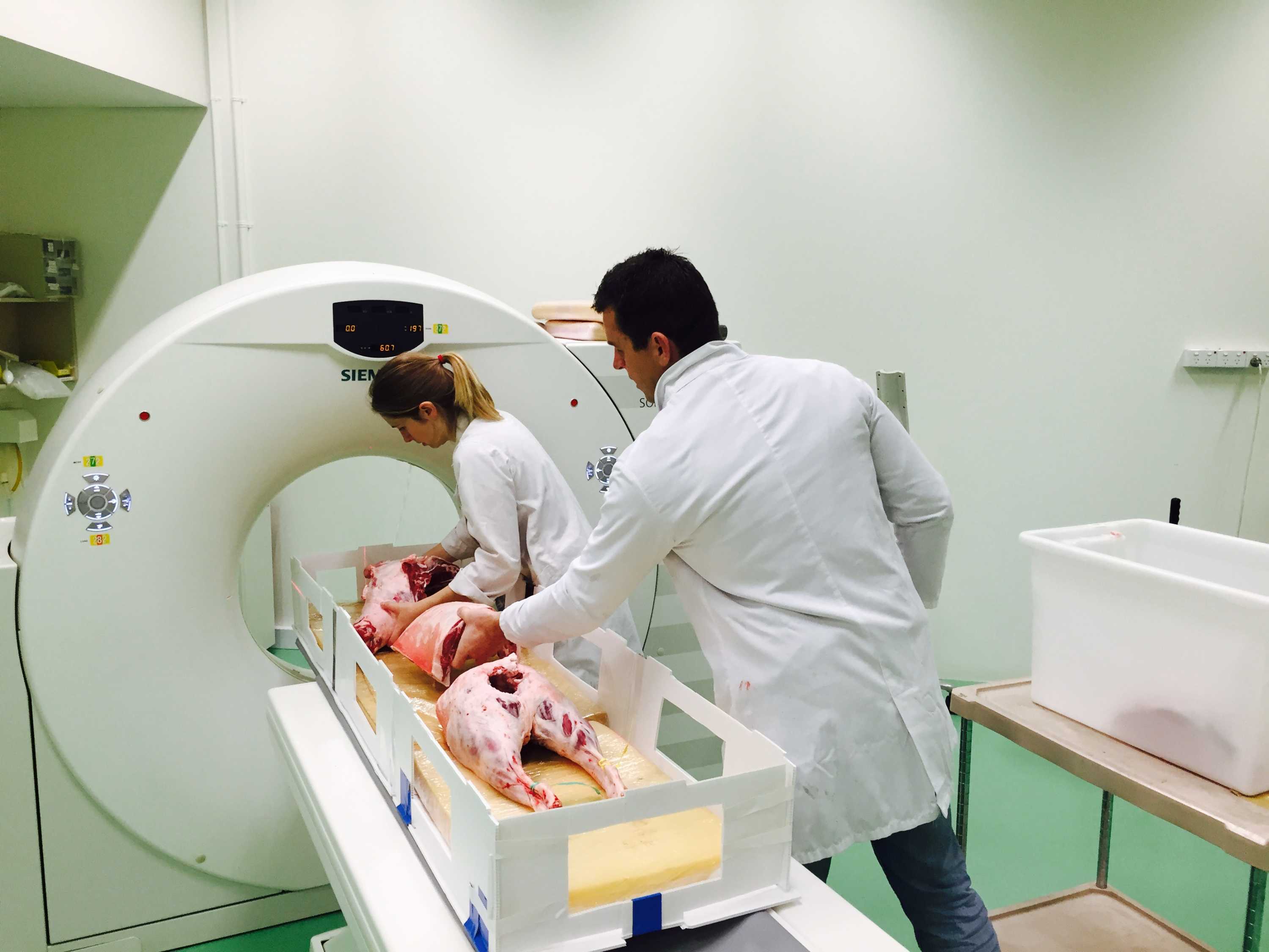 3D imaging, x-ray and other hi-tech devices set to revolutionise ...