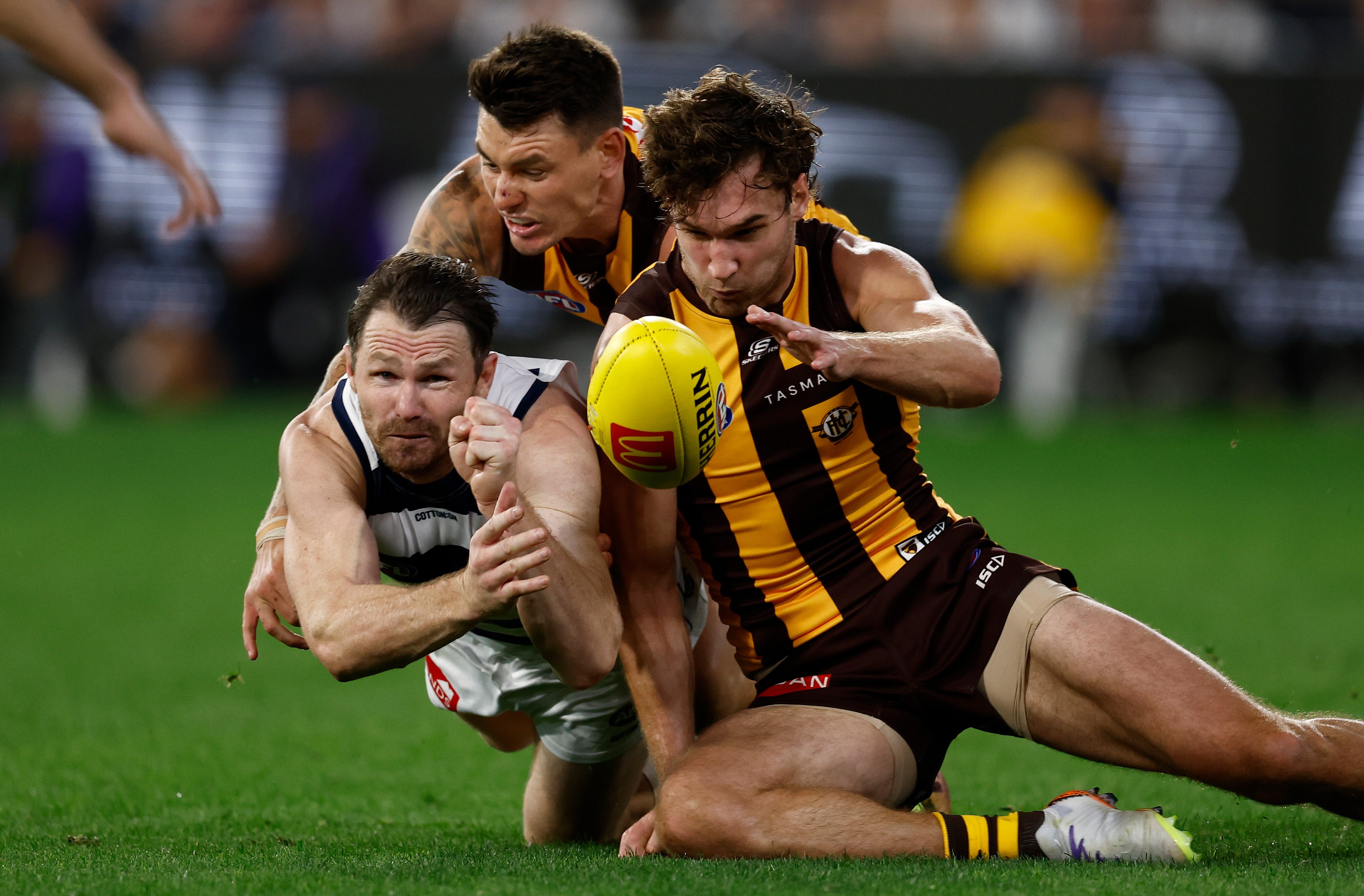 ABC AFL DAILY with Corbin Middlemas and Ben Cameron and Poppy Penny and ...