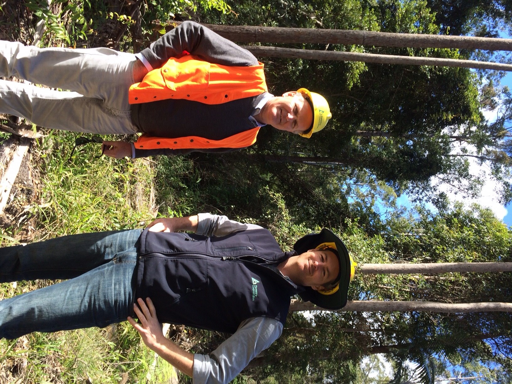 From axes to iPads: new logging methods replace traditional ways - ABC ...