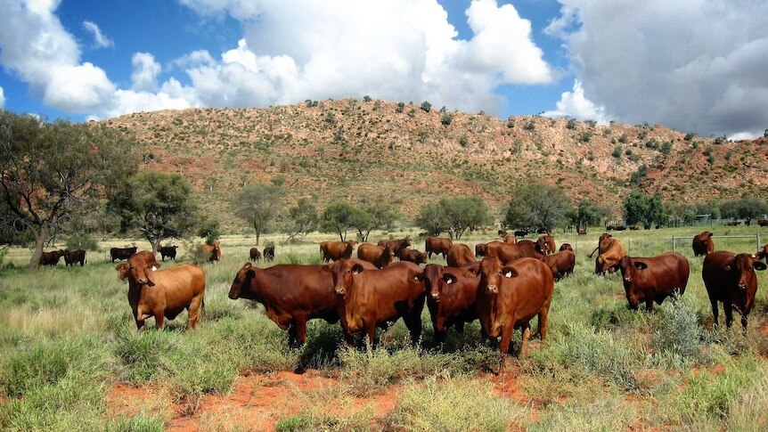 Countrywide - ABC listen