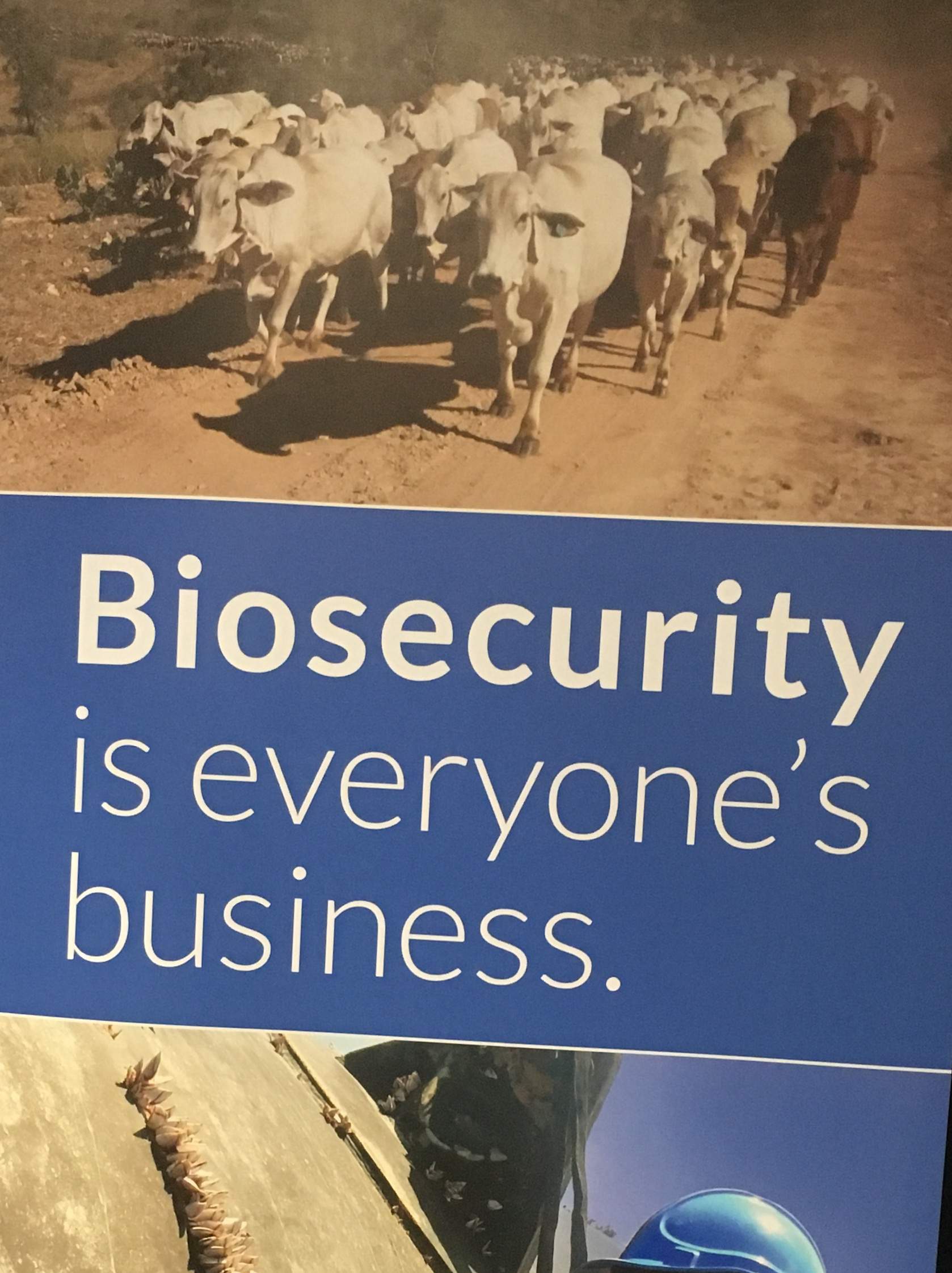 Citizen strategy: New NT strategy says 'biosecurity is everyone's ...