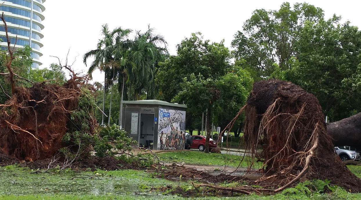 Cyclone Marcus: Darwin residents emerge to survey the damage - ABC News