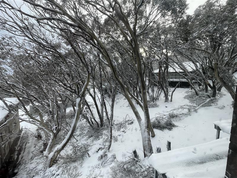 Man rescued near Mount Buller after being caught in unexpected November ...
