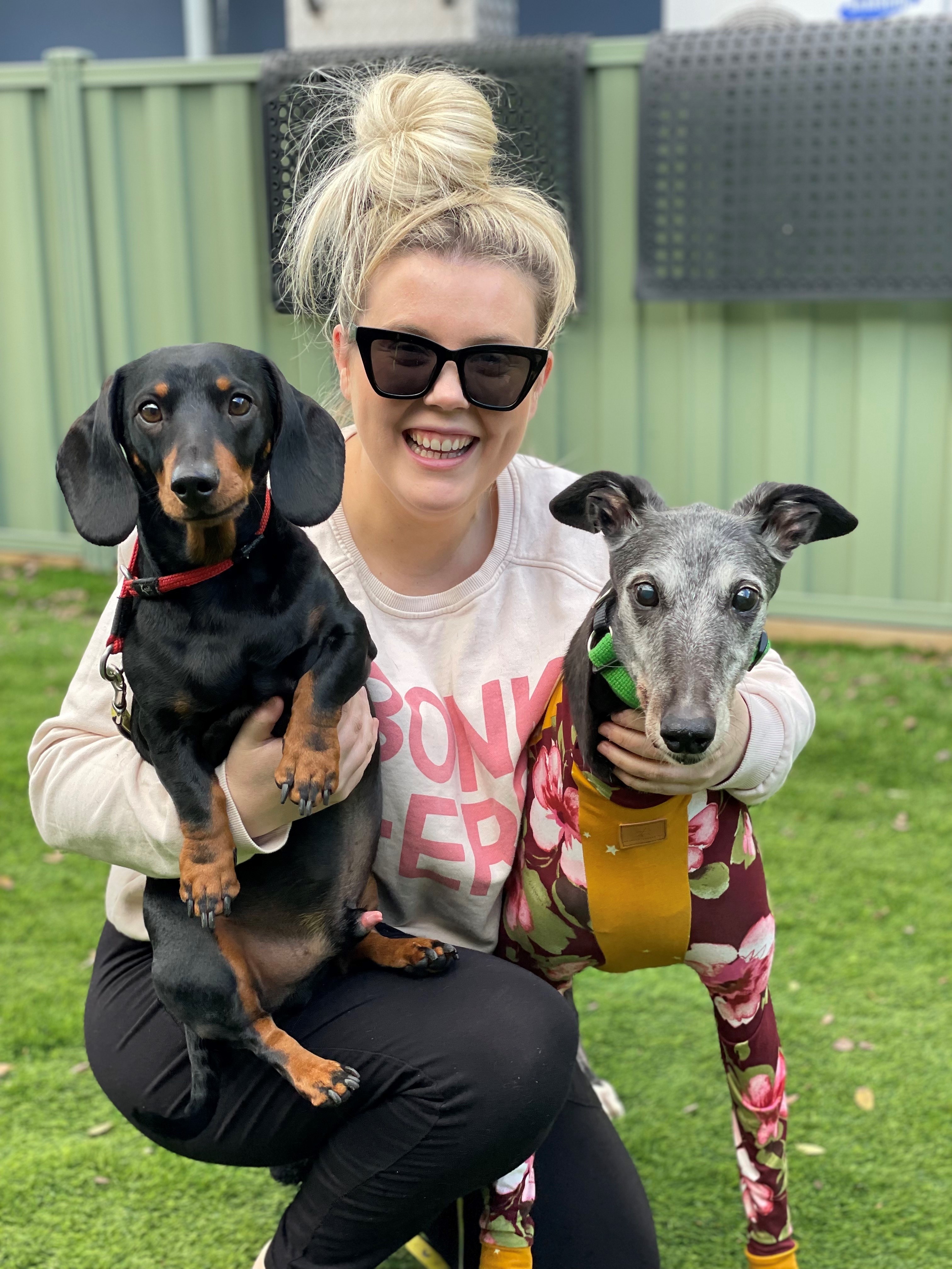 Pet owners adopting old dogs to give them the best final years - ABC News