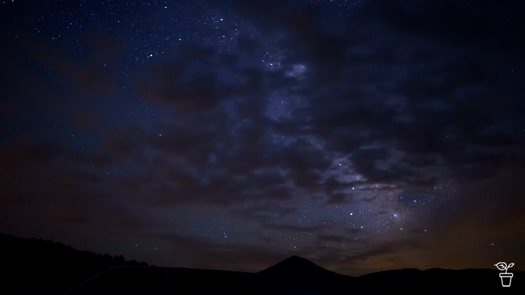 Garden Light Pollution | Lightbulb Moment - Gardening Australia