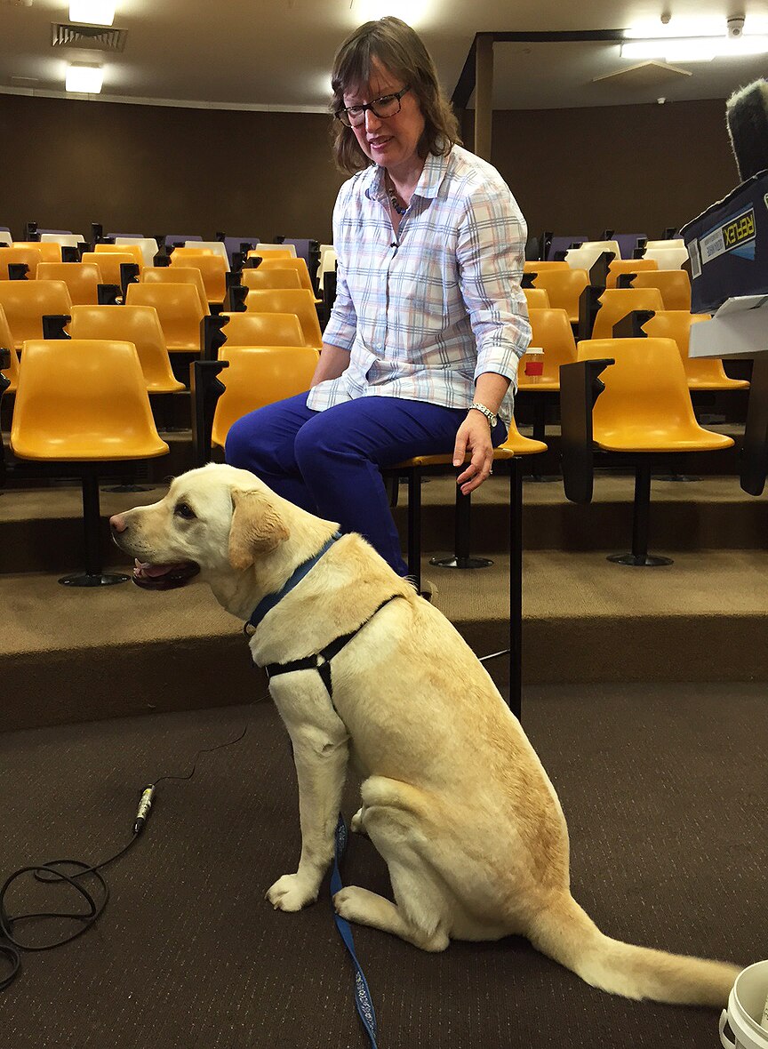 Dog shaming falls on deaf ears for canines; veterinary scientist says ...