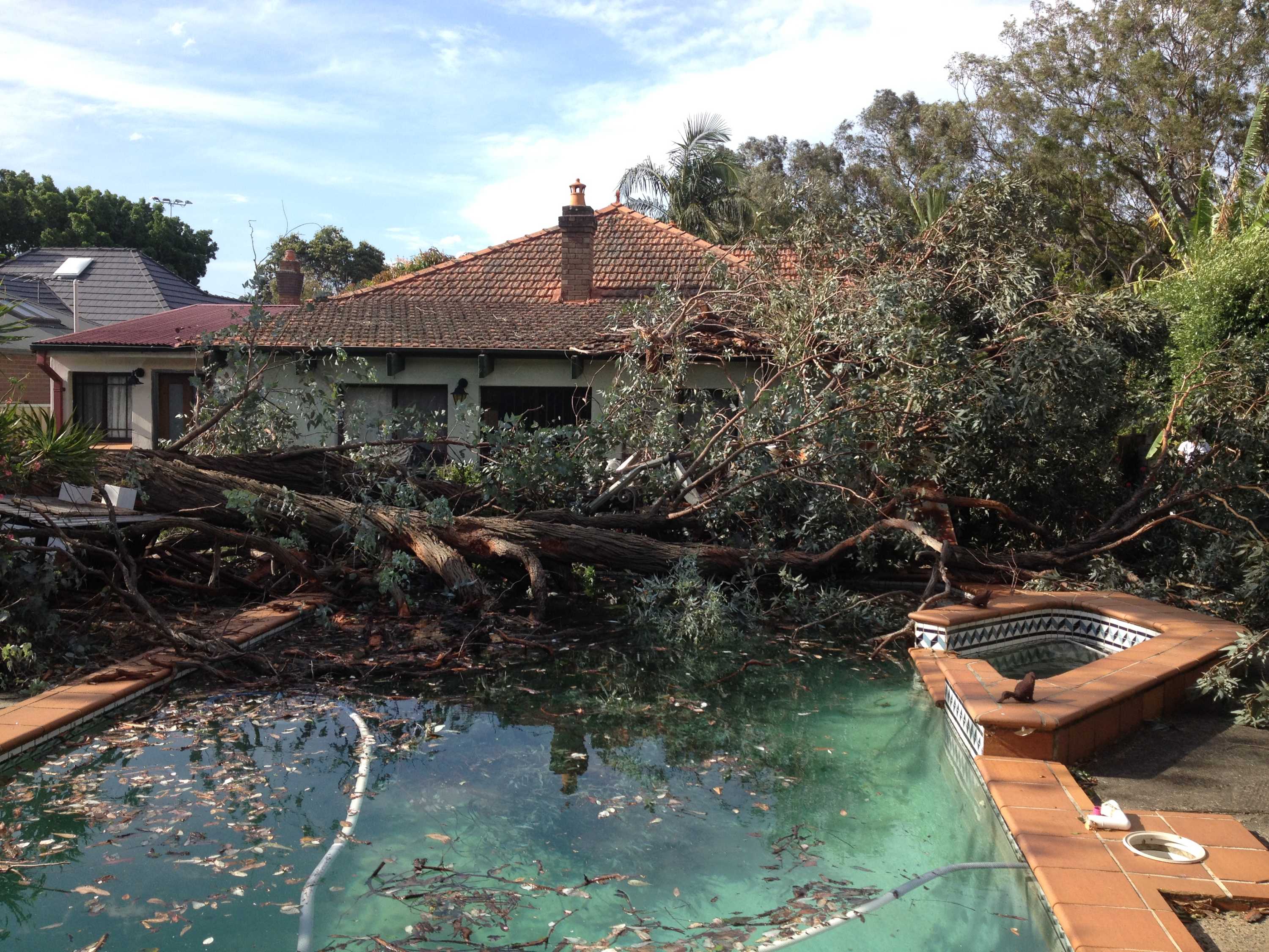 Cars crushed and power cut to thousands in windstorm in Sydney and the ...