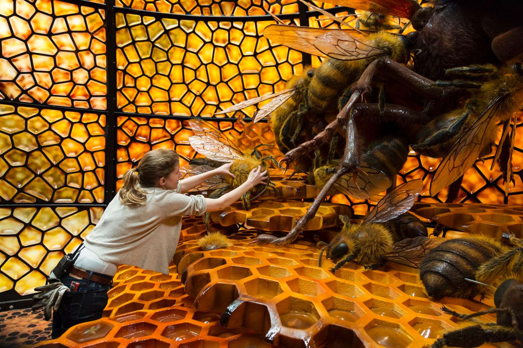 From Hobbits to honeybees: A peek inside Weta's special effects cave ...