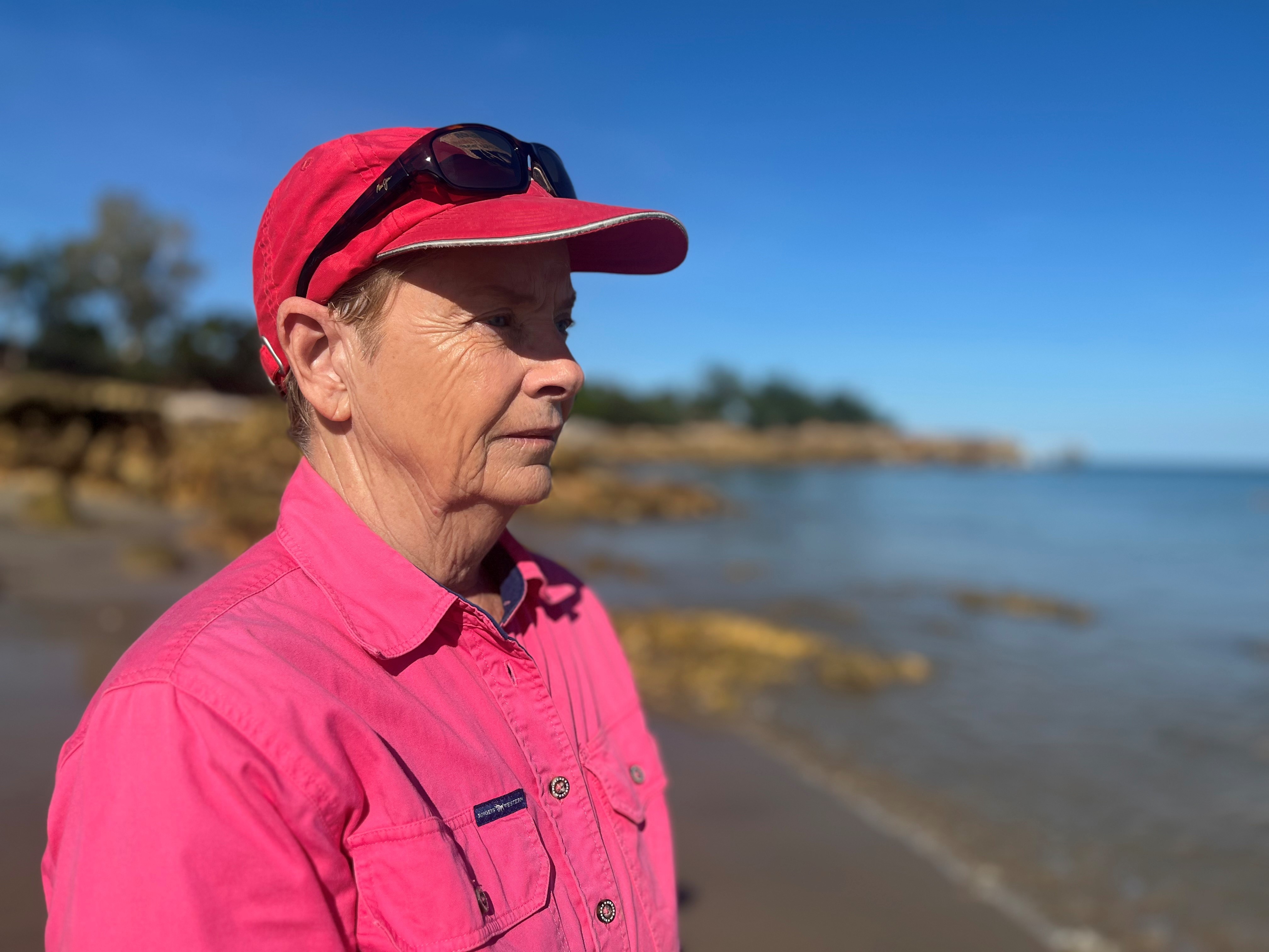 Senate to probe Darwin gas precinct concerns - ABC listen