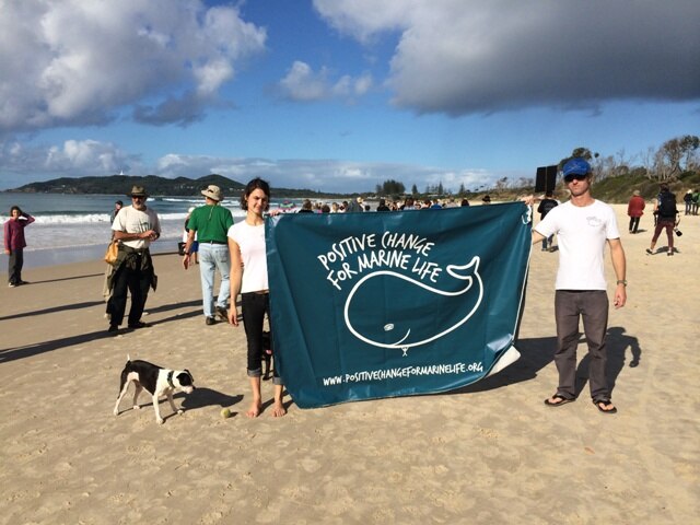 Protest says no to Byron rock wall - ABC News