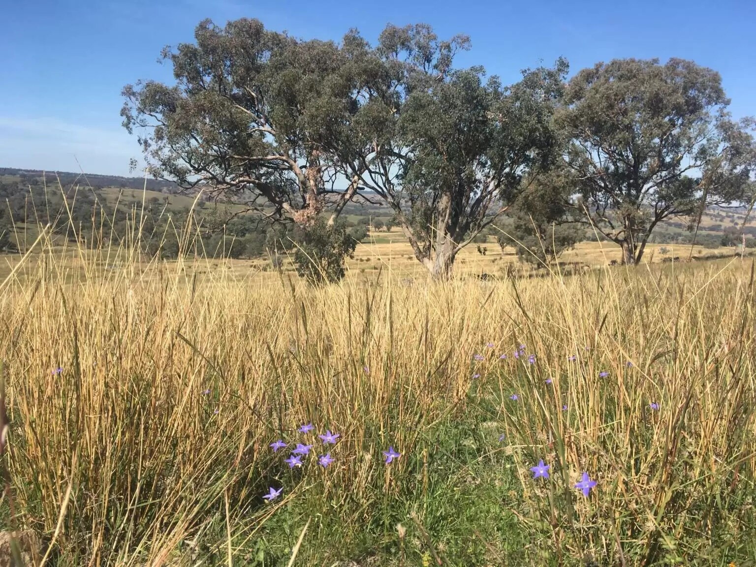 Are we ready for AI? - ABC listen