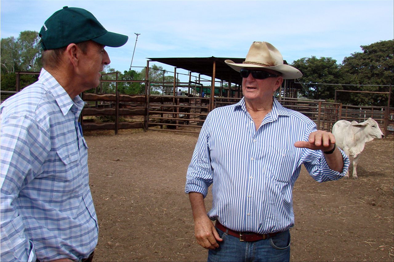 Ludwig defends Henbury Station carbon plan - ABC News