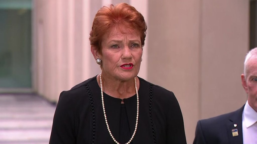 Pauline Hanson announces plans to cut $90 billion in government ... Pauline Hanson announces plans to cut $90 billion in government ...