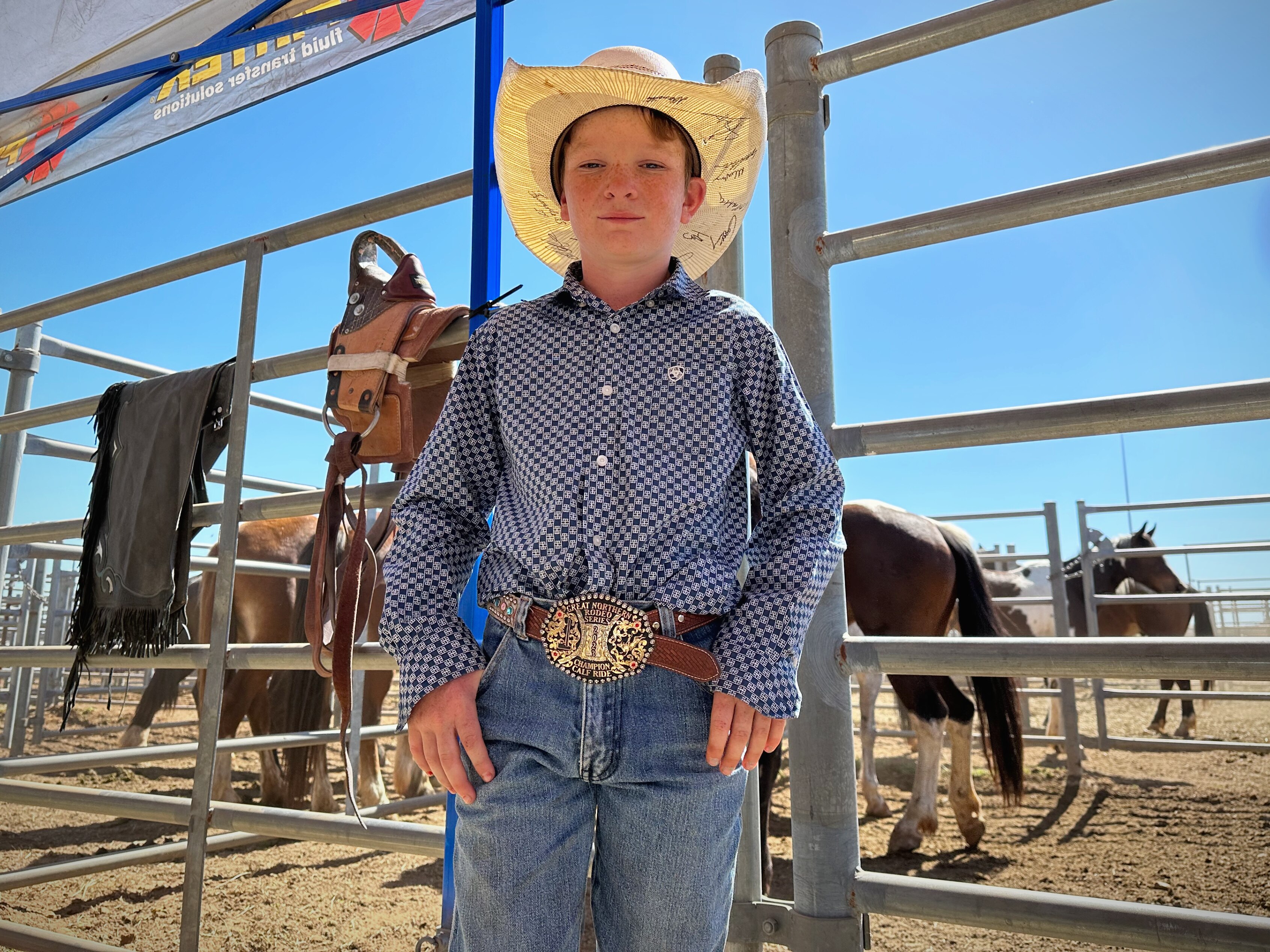 'Fat and fluffy' miniature bulls are helping a new generation of rodeo ...