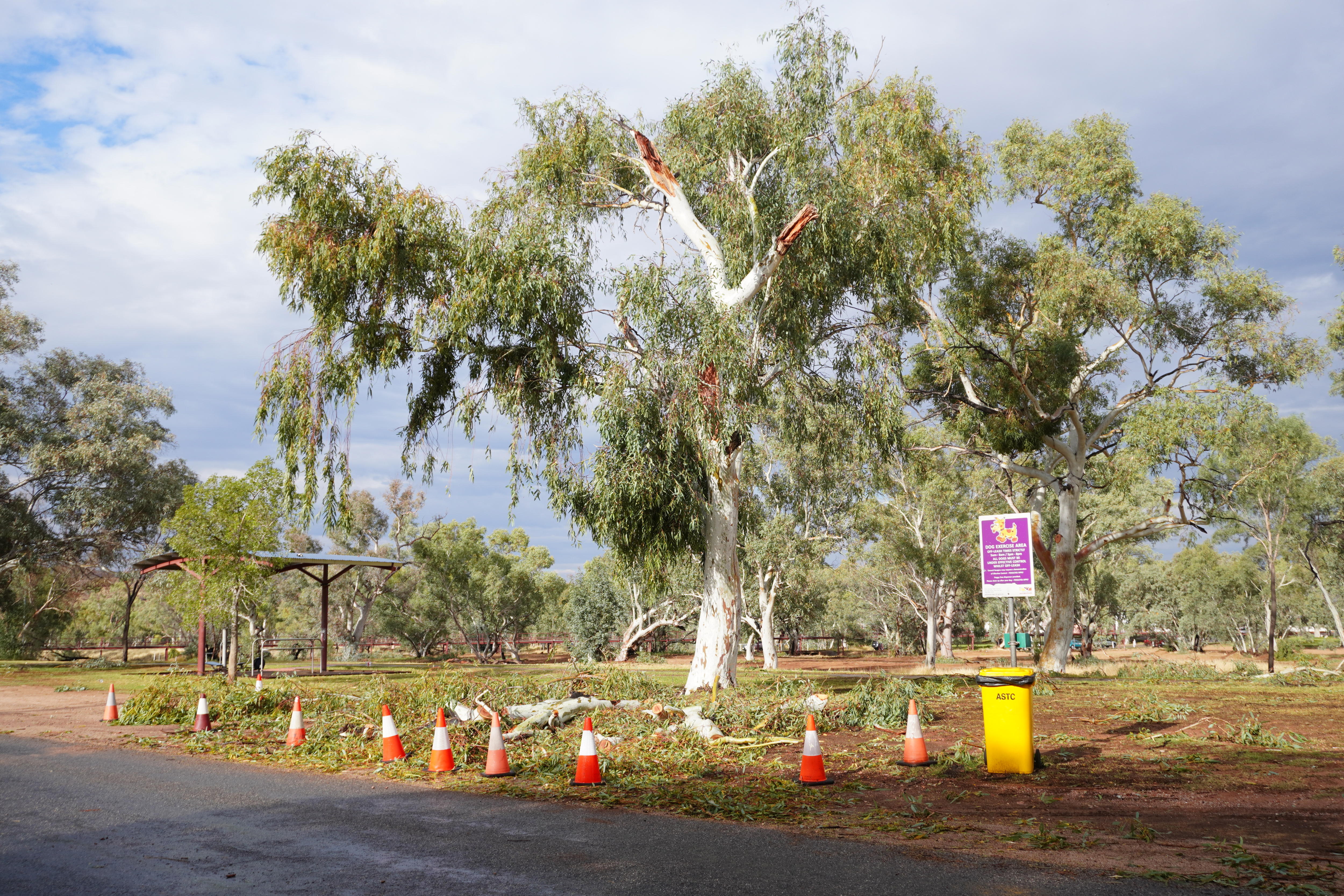 Residents clean up after surprise Alice Springs storm - ABC News