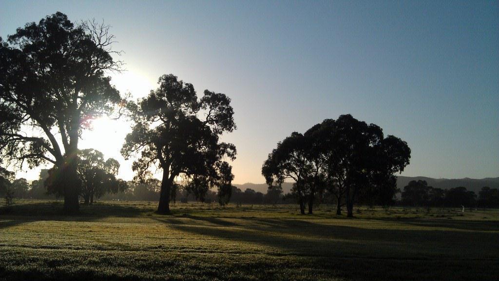 Dry zone curfew declared for entire Adelaide parklands for three-month ...