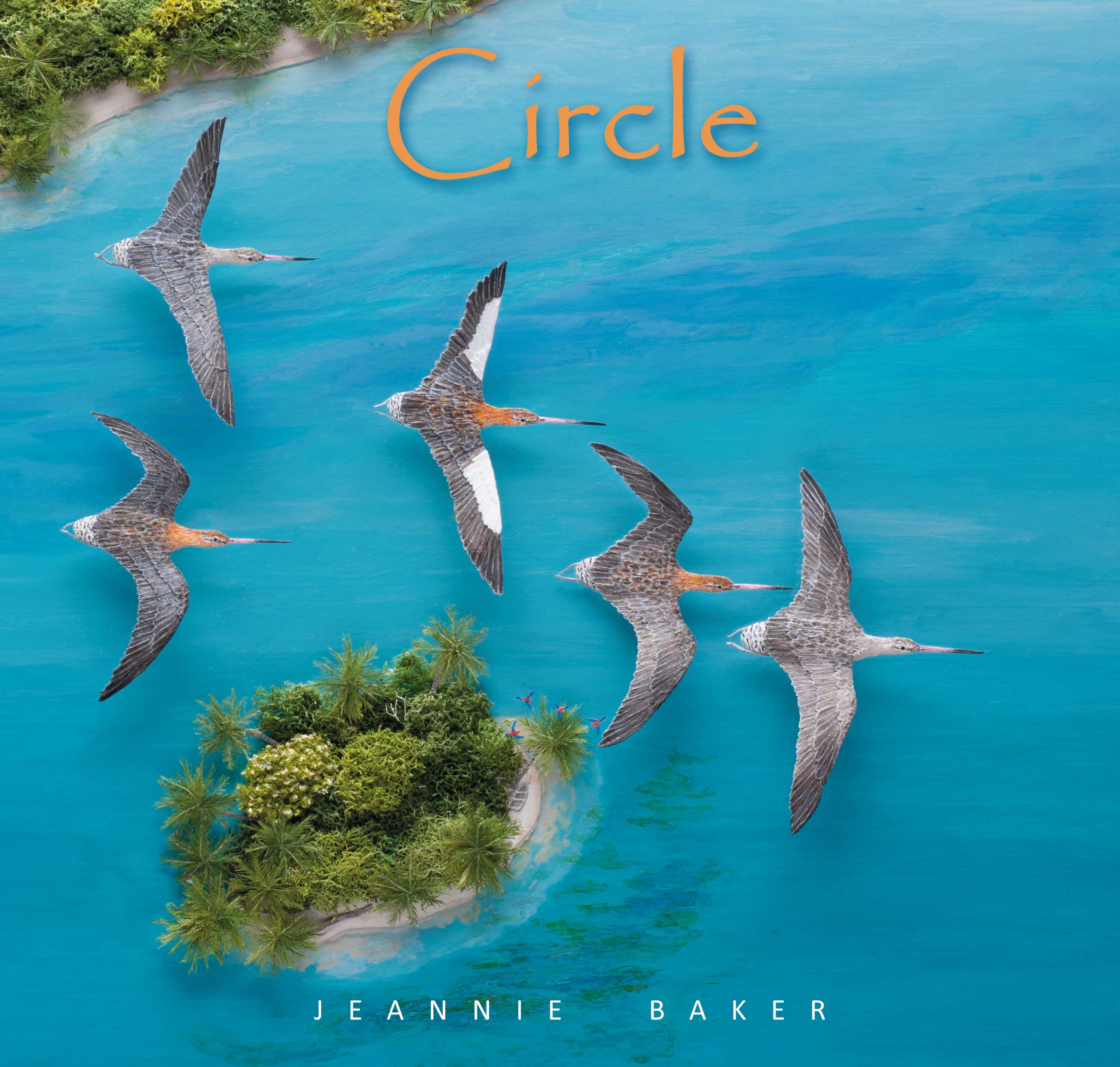 Jeannie Baker shares secrets of her trade in her new children's book ...