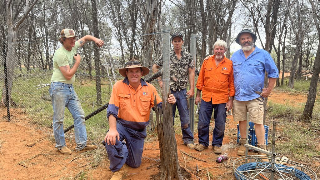 Conservation - Topic - ABC News