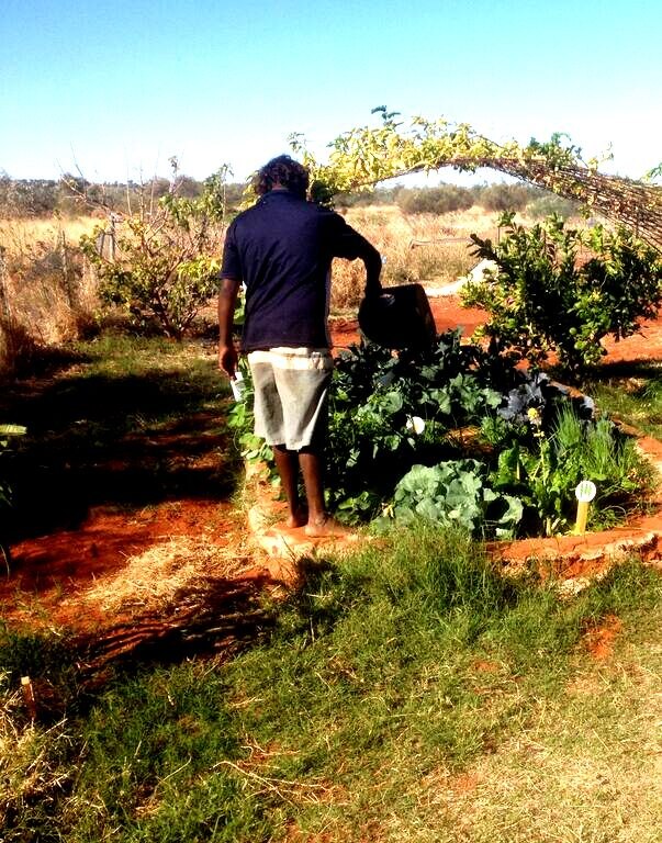 Small scale farming in remote Indigenous communities continues despite ...