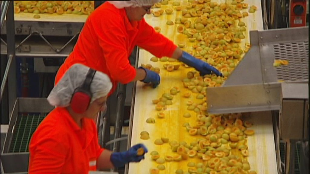 SPC Ardmona Shepparton upgrade brings more job cuts and automation ...