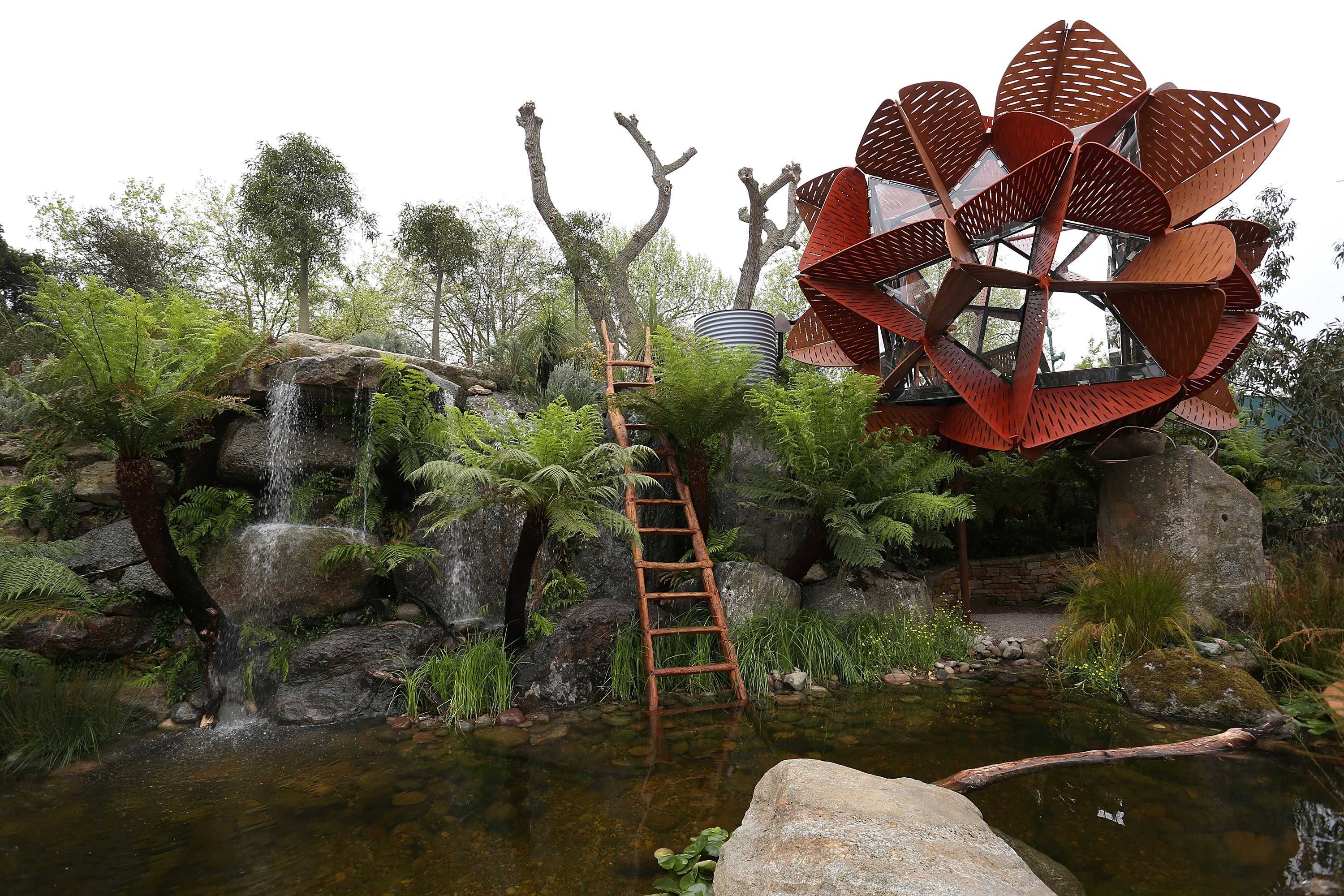 Melbourne Flower And Garden Show Winners | Best Flower Site