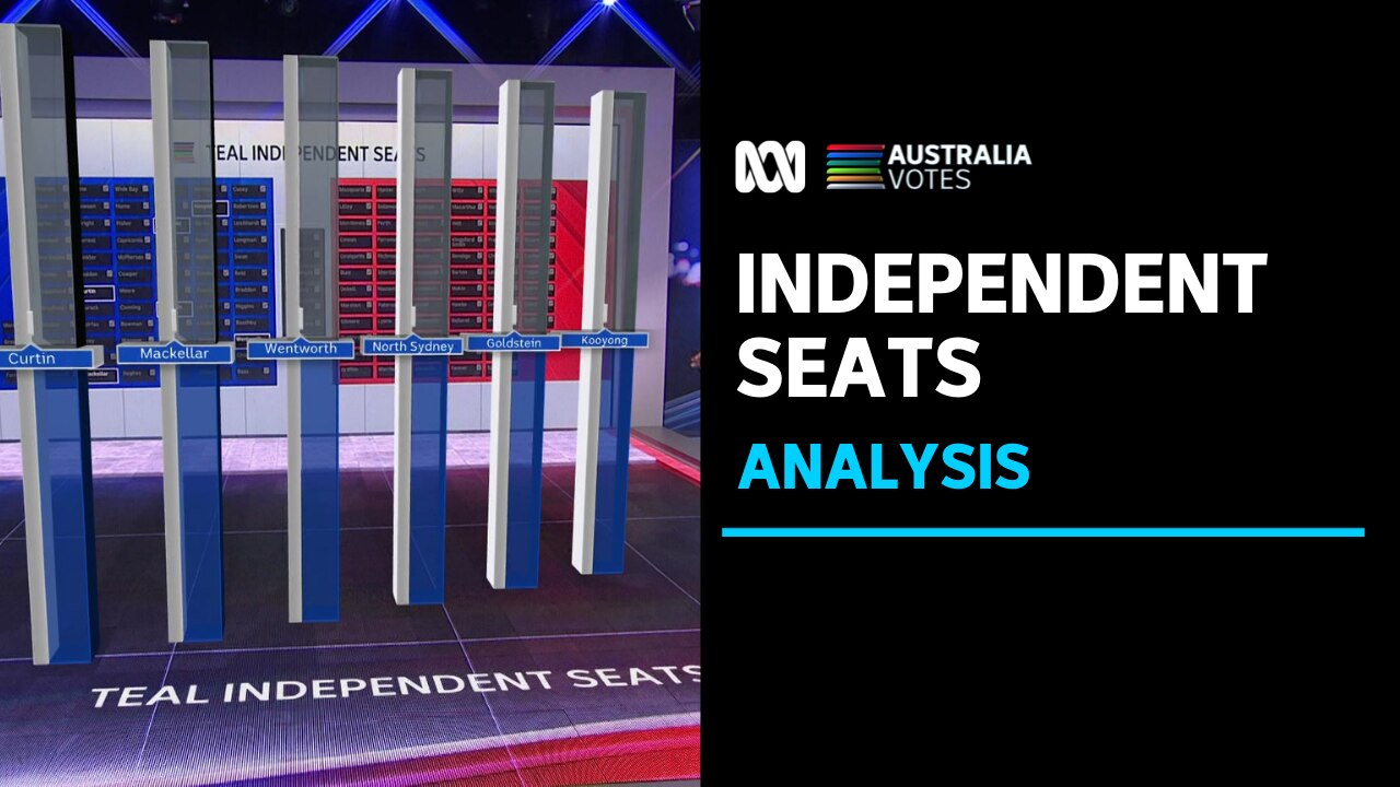 Liberal Pollster Says Party Losing Its Base In Teal Seats Abc News 0661