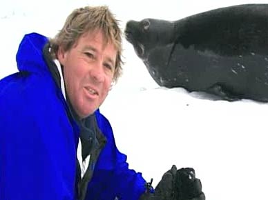 Irwin cleared over Antarctic antics - ABC News