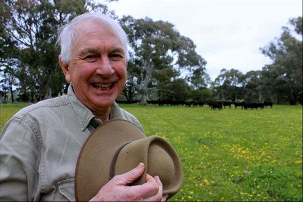 30 years of growing wool - ABC News
